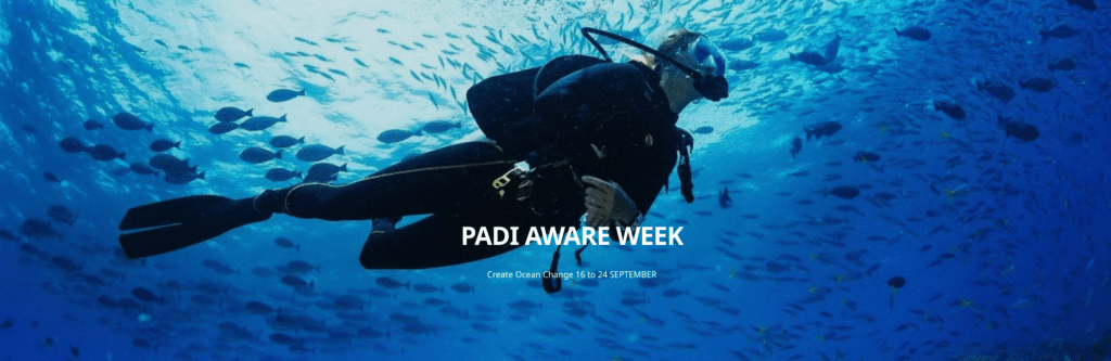 Dive into Conservation: Celebrate PADI AWARE Week 2023 - Adopt The Blue | Ceningan Divers